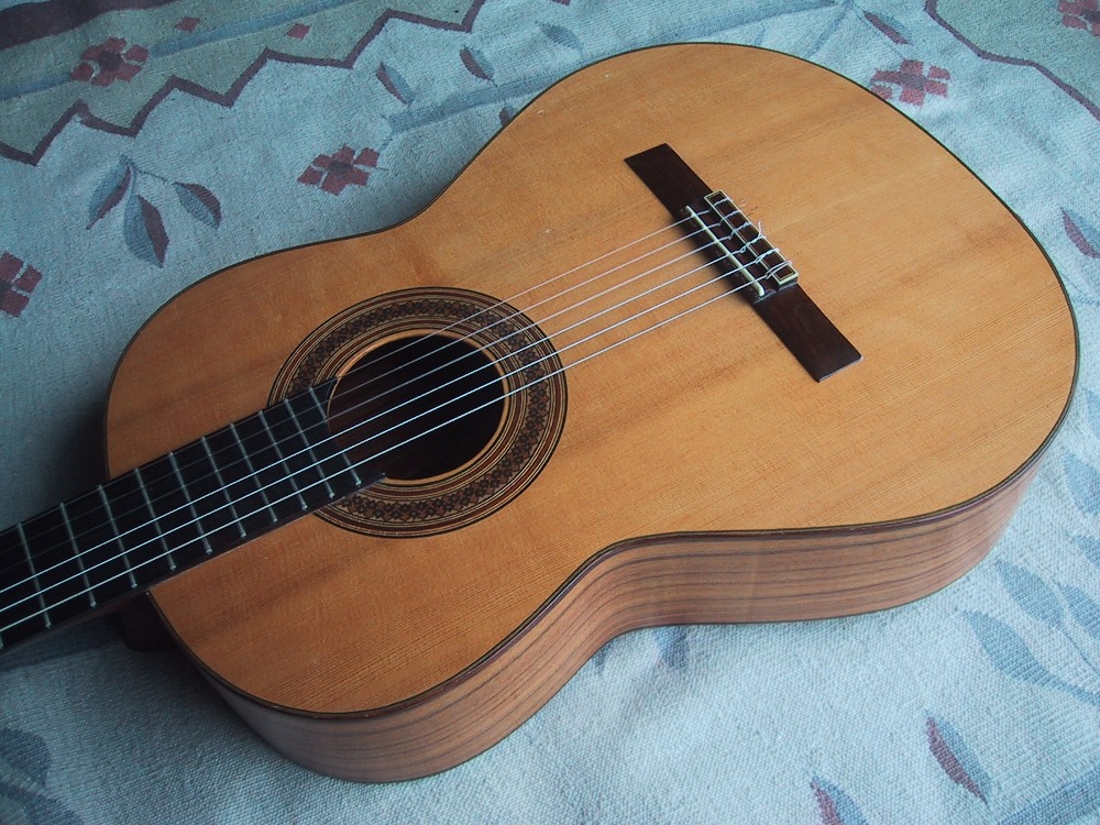 Gary Nava, luthier; Instrument Archive: Early Classical Guitars