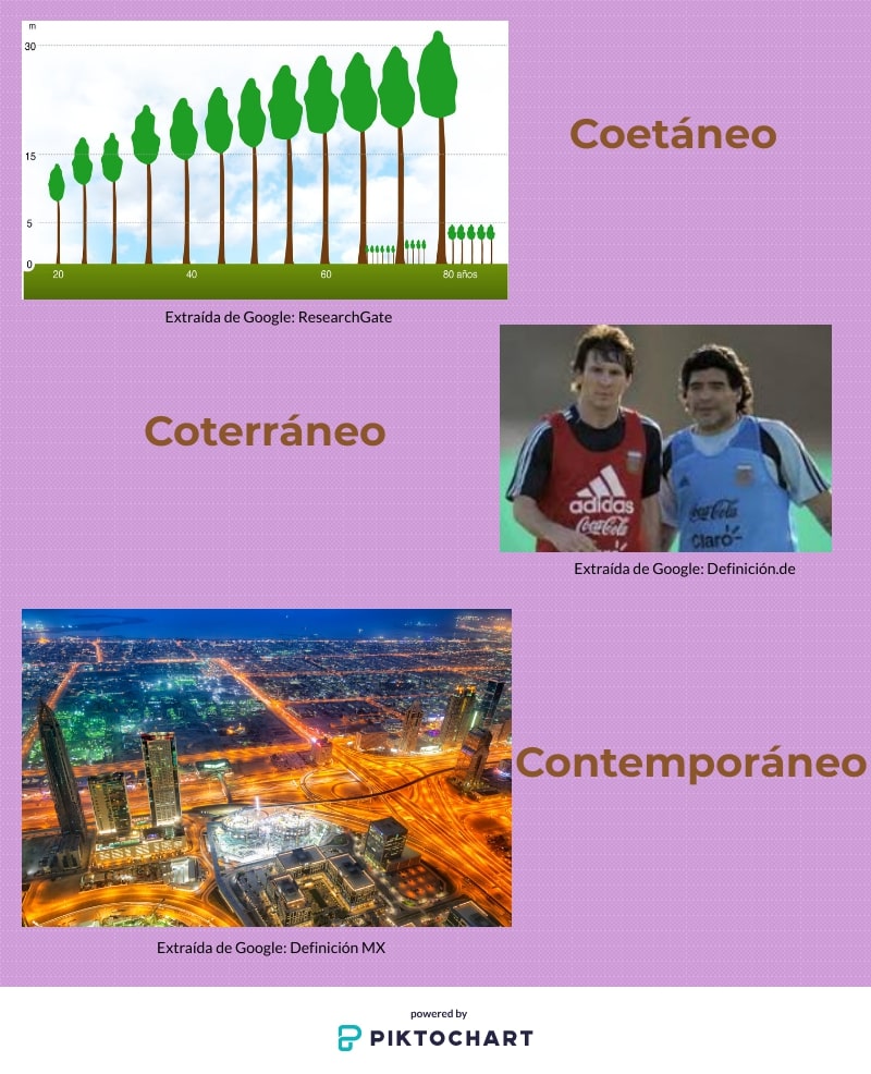 Coetáneo, contemporáneo y coterráneo