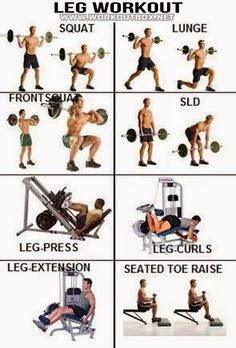 Bodybuilding Exercises For The Legs - Body Building Body Builder