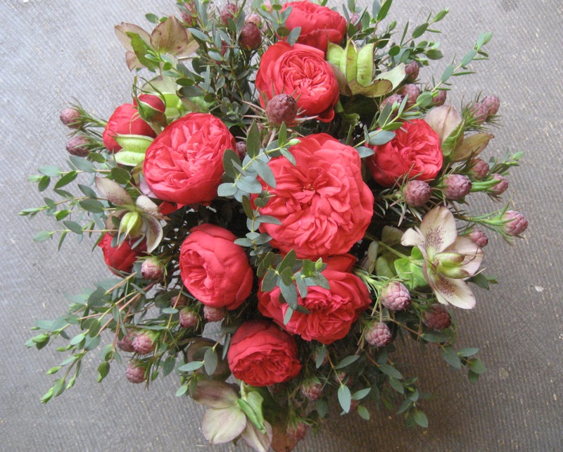 Sammy’s Flowers: Starring the Piano rose