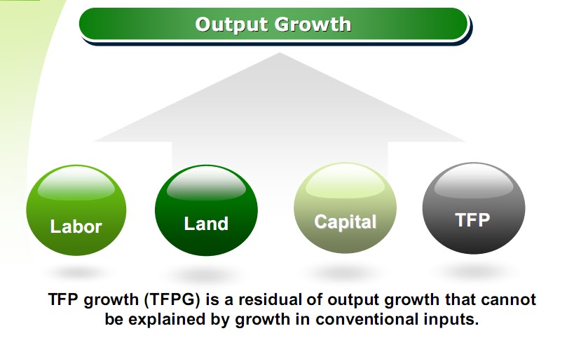 Zulqarna'en: Total Factor Productivity (TFP)