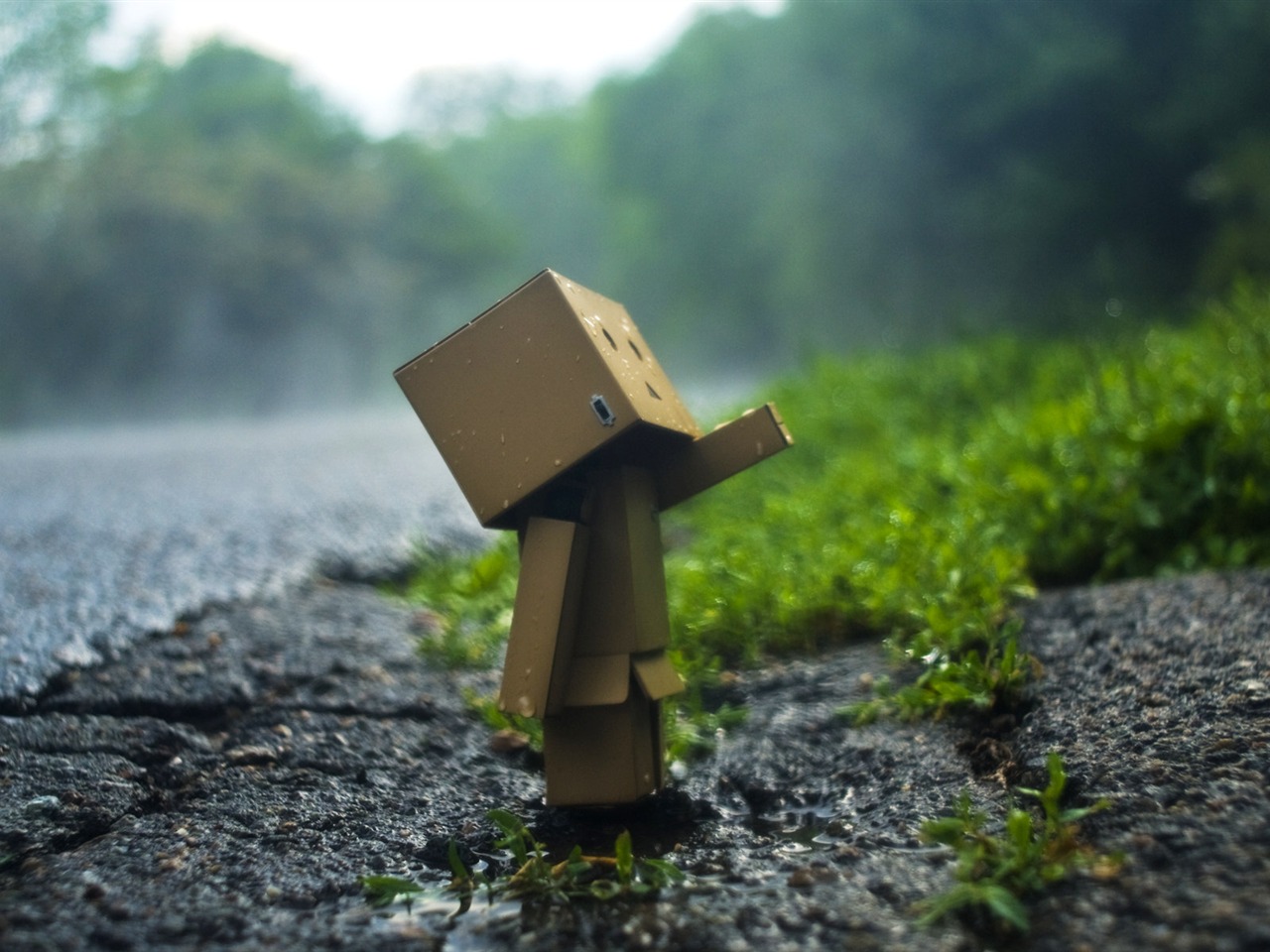 Remembering ..: My Danbo .. The Spirited Doll
