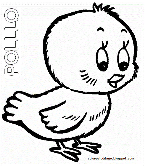 POLLITO PARA COLOREAR 🐥 - COLOREA TUS DIBUJOS
