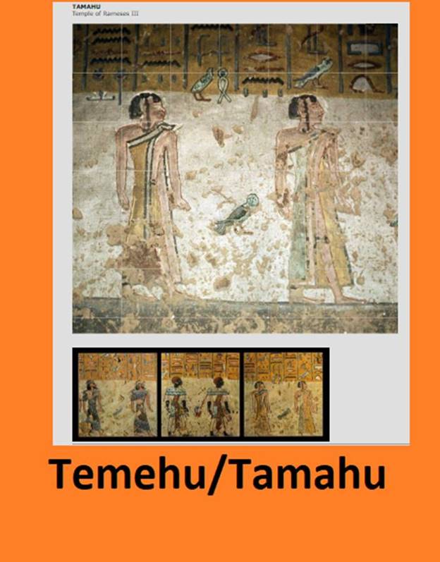 Ancient African Writing Systems and Knowledge: The Tehenu and Tamahu
