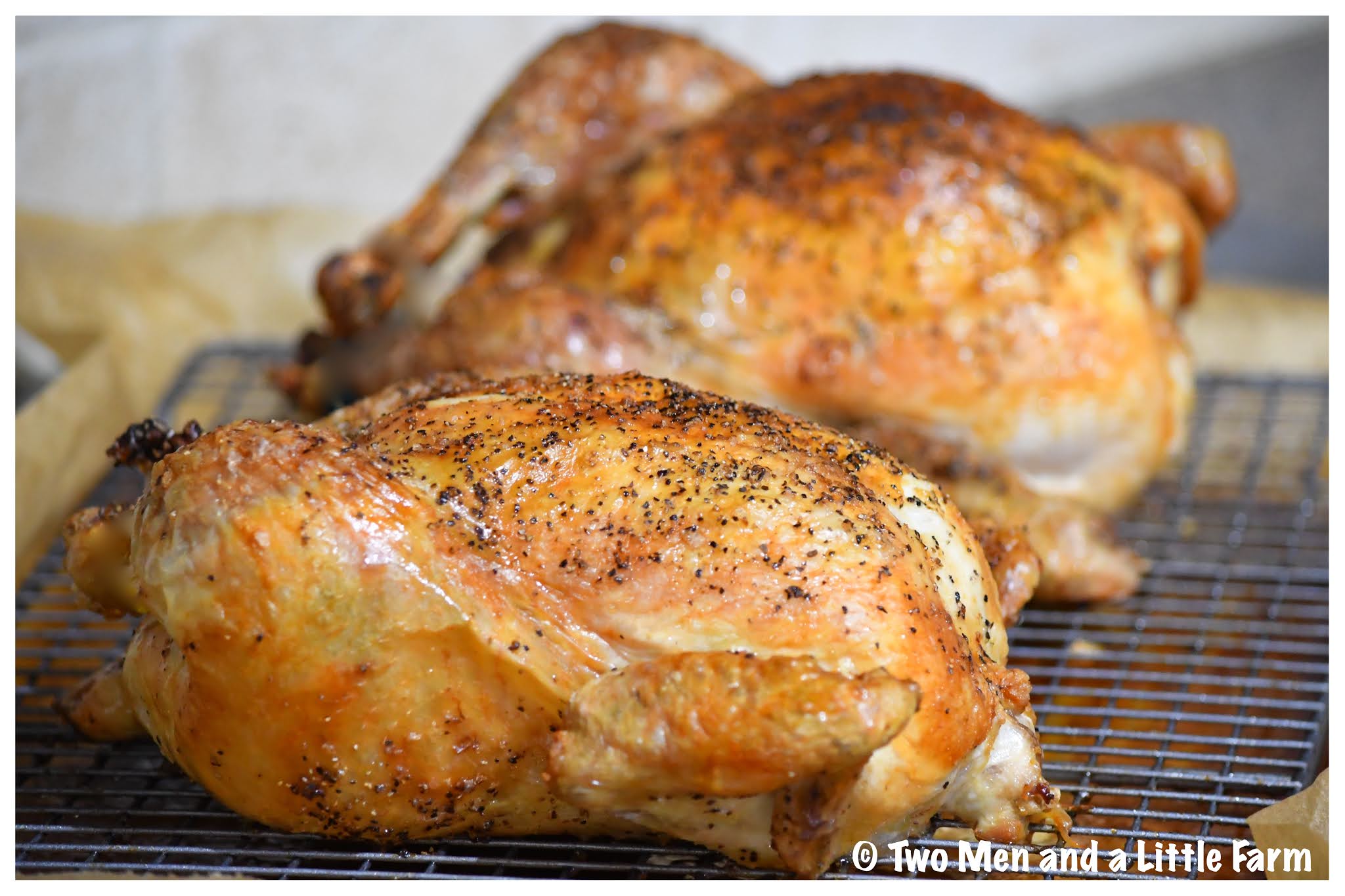 Two Men and a Little Farm: DRY BRINING CHICKEN