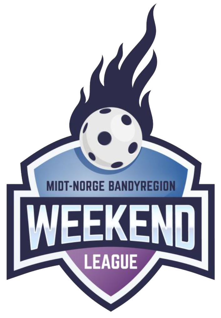 Nyborg IL Innebandy: Turneringer