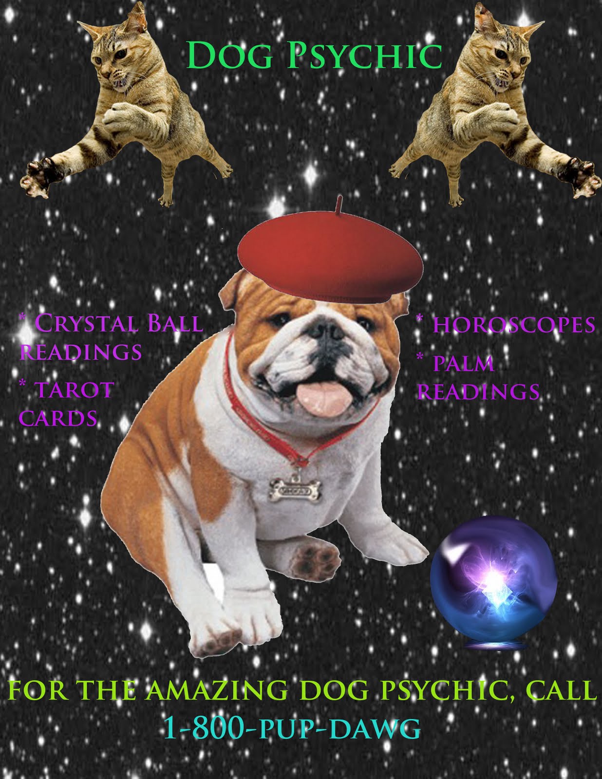 A Blog By Sophie: Whats in YOUR future?