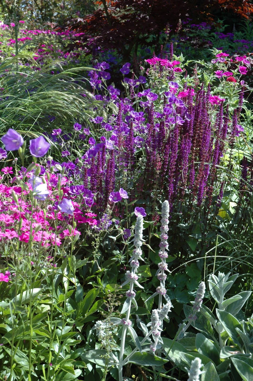 HAVETID: Engelske haver 2. del,