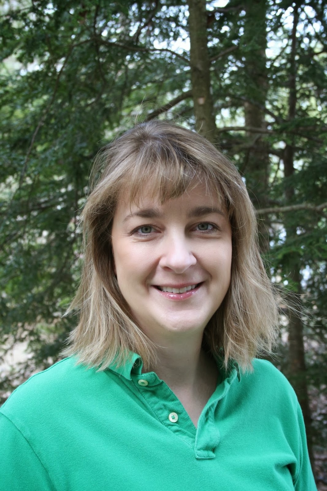 The Windham Eagle News: Election candidates 2013