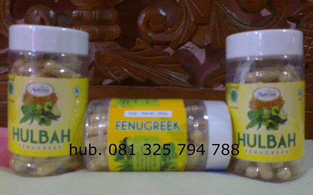 HULBAH HERBAL PERBESAR PAYUDARA
