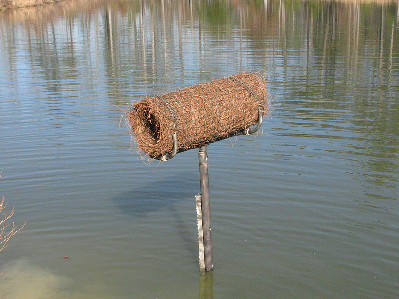 Tree Town Turf Guy: Ann Arbor Learning Commmunity Duck Nests