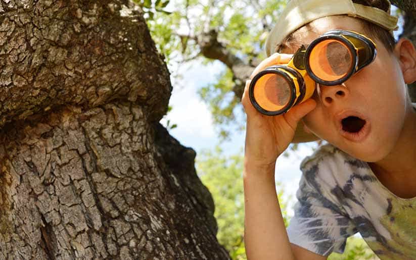 DESCUBRIMIENTO Y MOTIVACIÓN