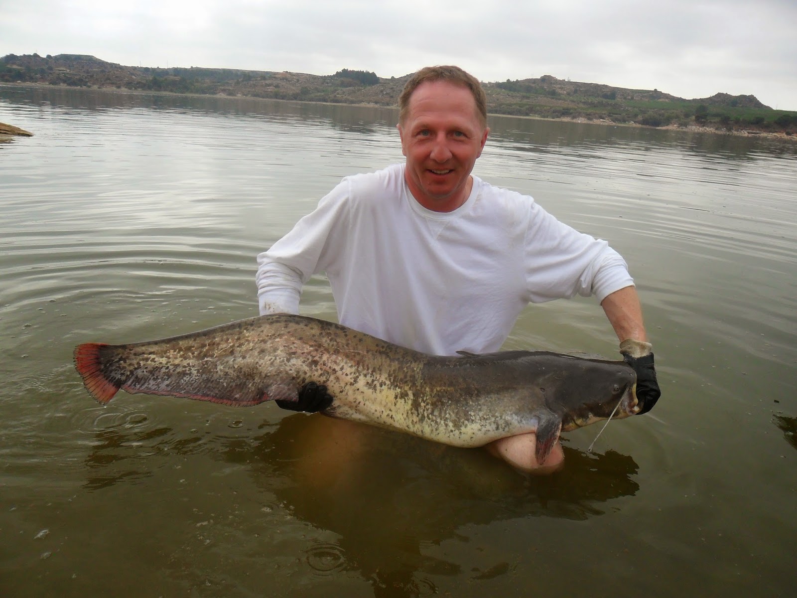 Kenart Wobleromania: WYPRAWA NA SUMY EBRO w HISZPANI 2014