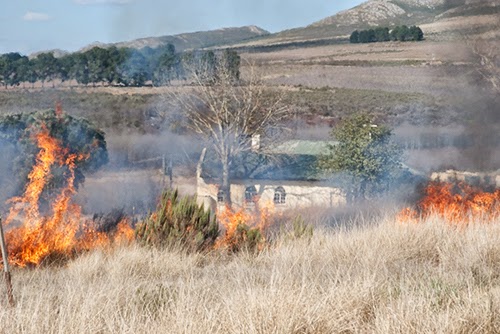 Stories from Blue Hill Escape: Fighting Fire in the Fynbos