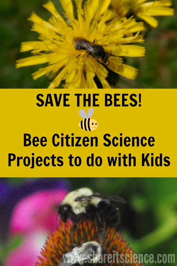 Share it! Science : Save the Bees! Bee Citizen Science Projects for ...