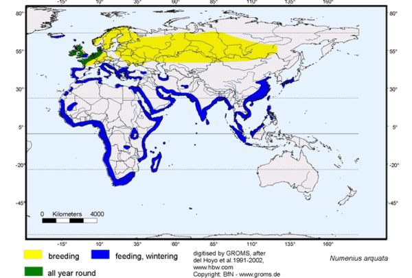 Another Bird Blog: Remember, Remember. The Fifth Of November.
