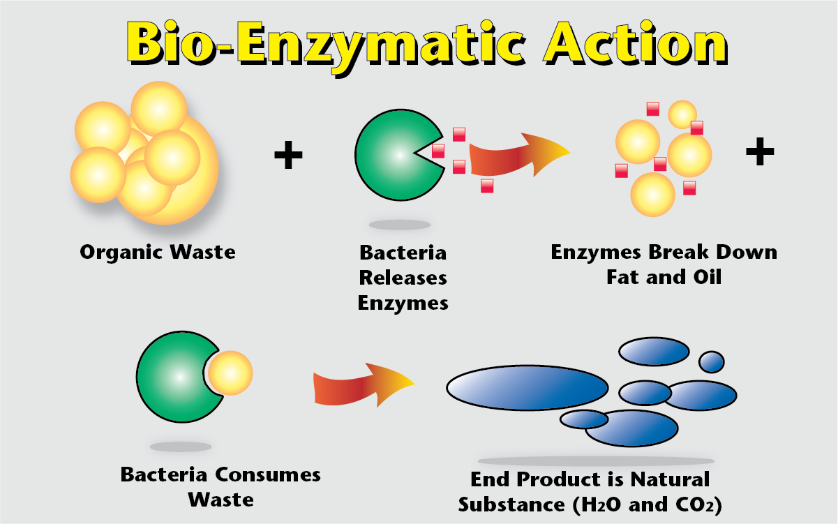 Bio Enzyme A Natural Multi Purpose Cleaner bio-enzyme-a-natural-multi-purpose-cleaner