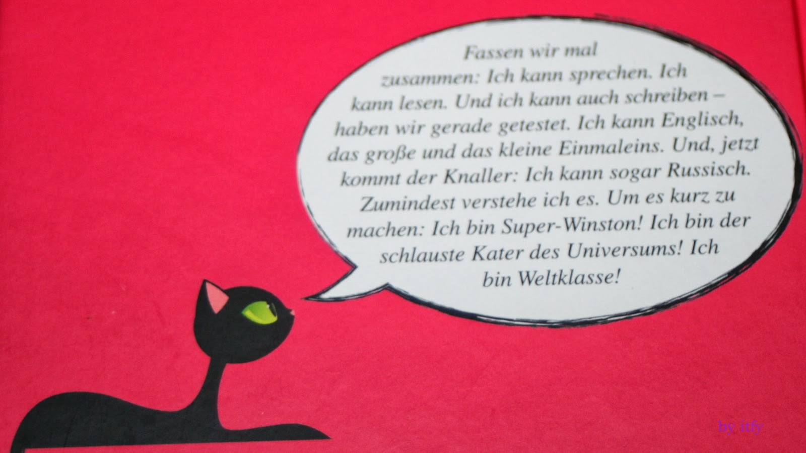 I TEST FOR YOU :-): Kinder/Buch Tipp: Winston Ein Kater in geheimer Mission