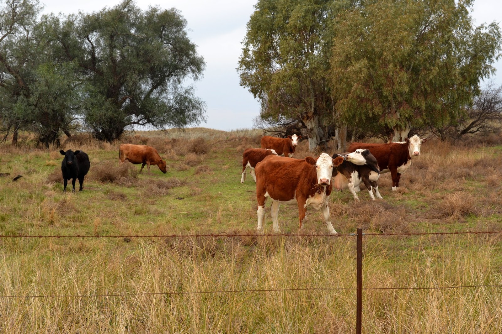 Claudio Tomassini: Médanos - Claudio Tomassini Fotografía