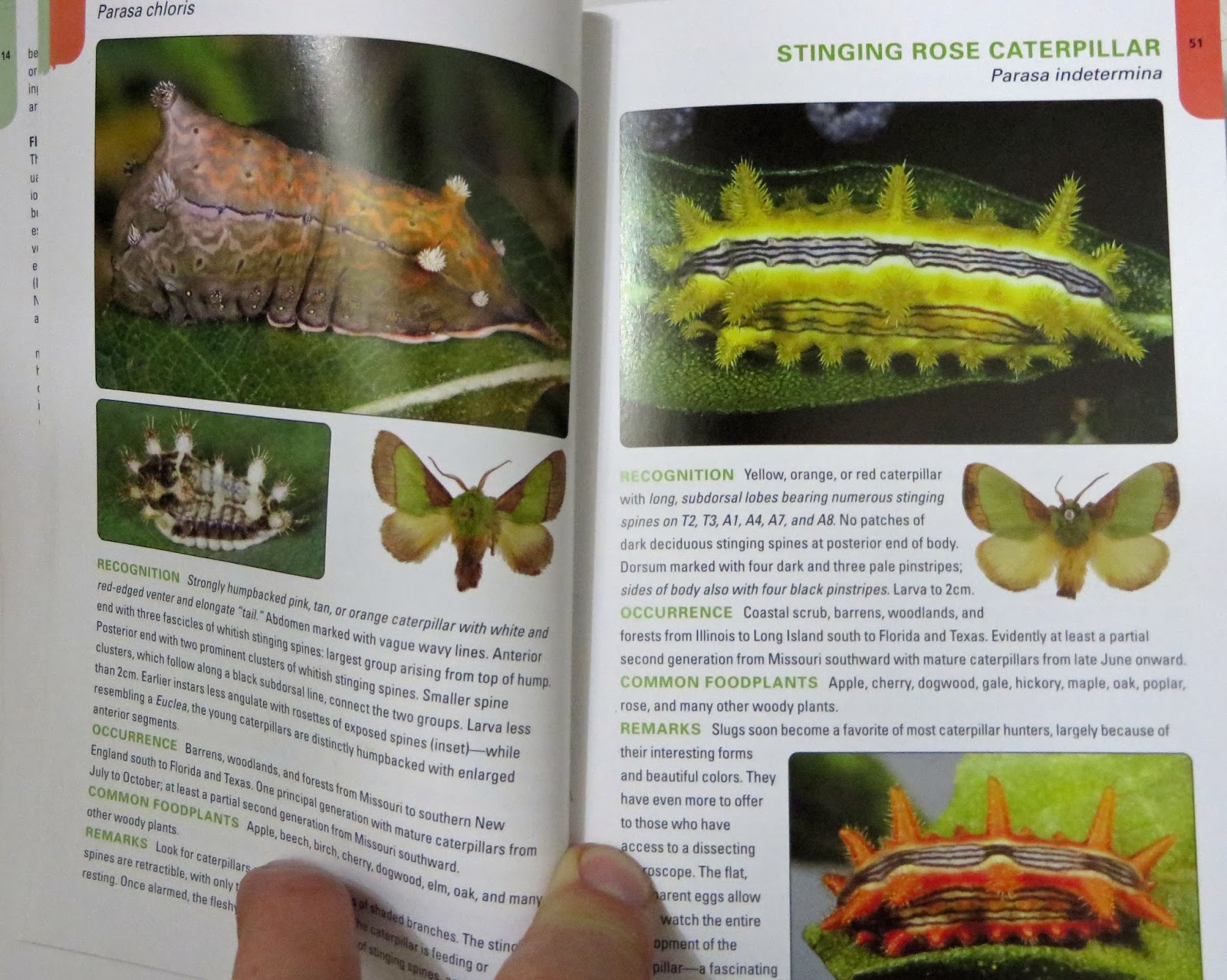 Old Rag Mountain Hikes/Patrols by RSL: Saturday December 7, 2013 Late ...