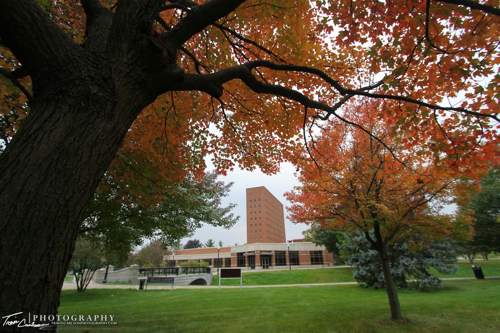 Travis Carlson Photography: Blog: 10/13/13 Northern Illinois University ...