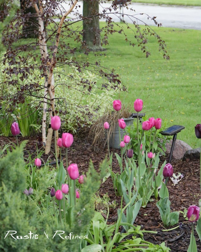 Spring Garden Tour 2020 | Rustic & Refined