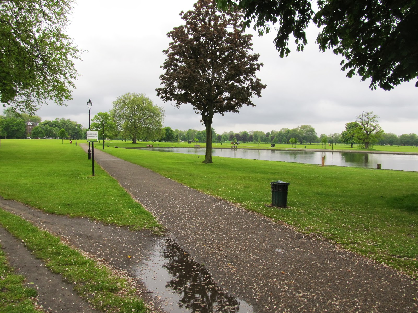 Dobbinland: Clapham Common Southside