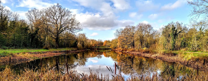 LOCAL WALKS AROUND THE WANSTEAD AREA