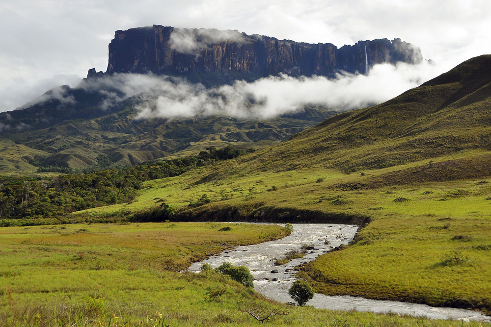 OLHANDO DA JANELA DO TREM: MONTE RORAIMA / RORAIMA / BRAZIL