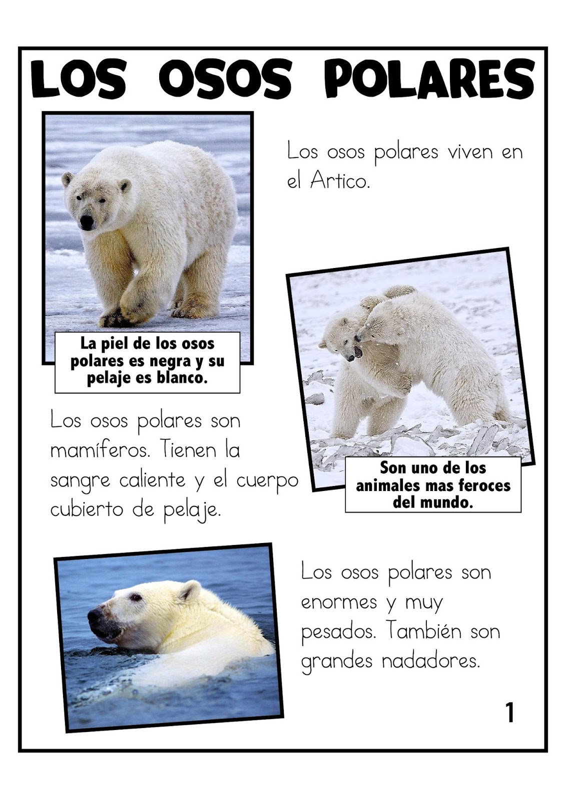 El salón de Silvia Schavz