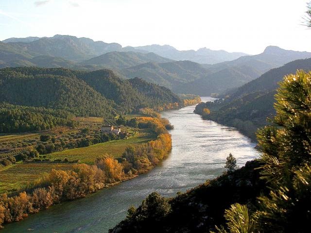 Relieve: RÍOS DEL MUNDO