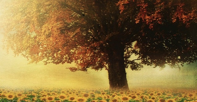 The Tale of Two Trees: