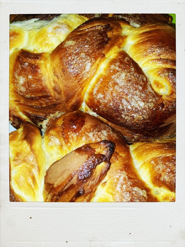 Brioix | Sweet Turtles