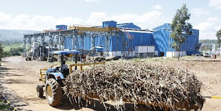 All set for construction of new sugar milling factory at Coast | SUGAR ...