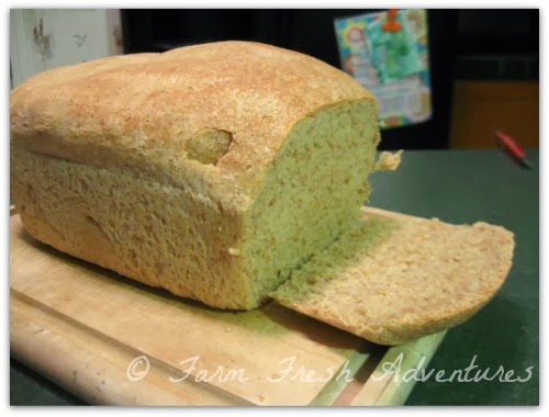 Farm Fresh Adventures: The Monday Munchies~ Rustic Countryside Bread ...