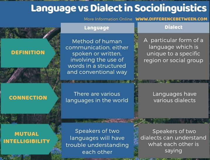 Language in Society - Dialects