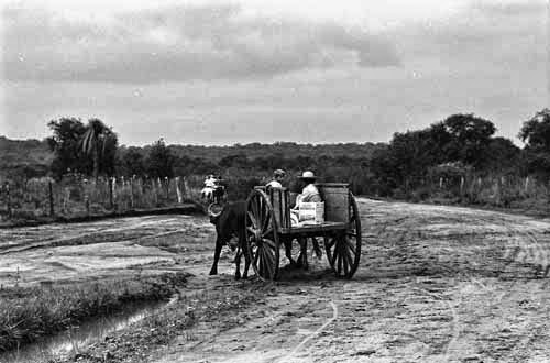 social and political affairs: ARE THE U.S. AND THE EU BUILDING A ...