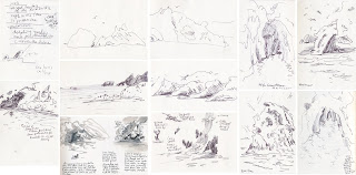 Apple-Pine: Sketching Trio at the Channel Islands National Park