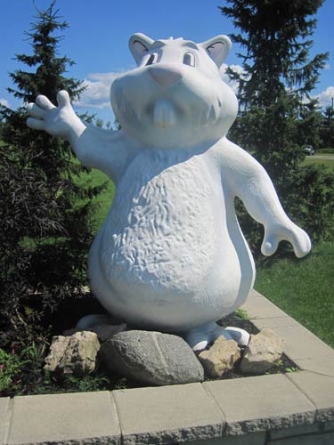 Life Is Better On Vacation: Wiarton Willie