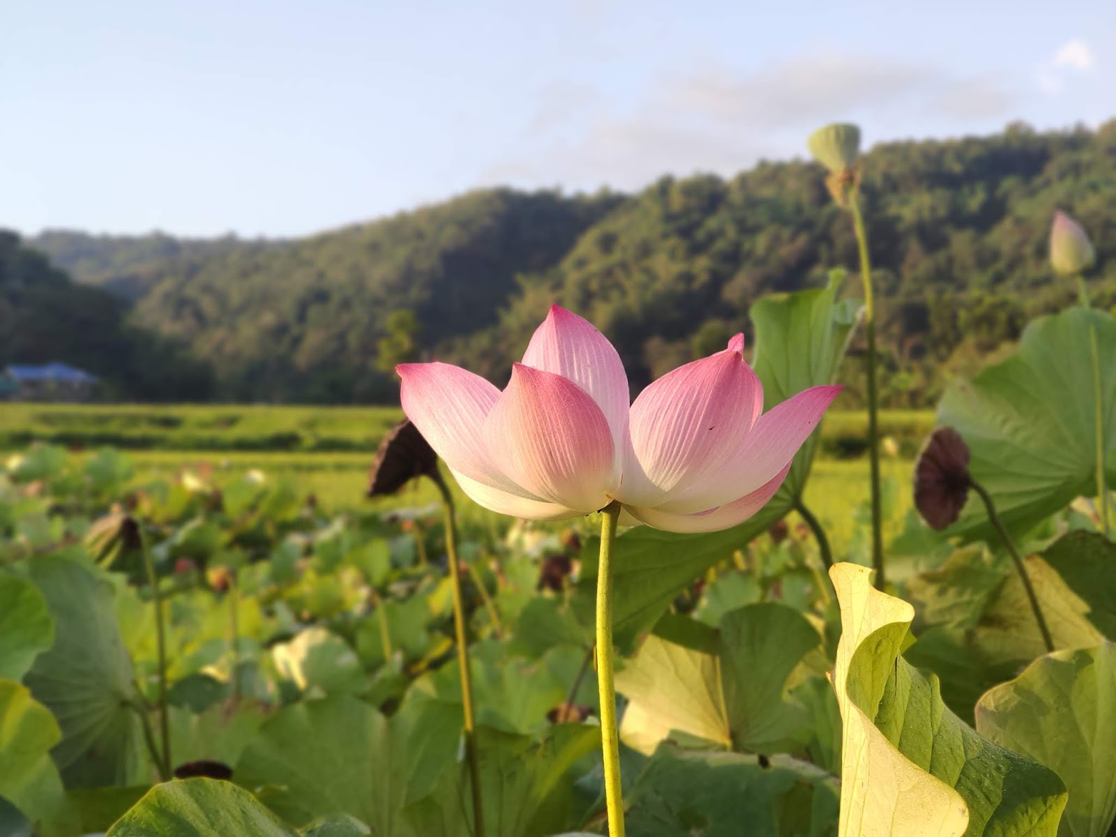 Best Places To Visit In La Union / Lakbay Norte 9 - The Pinoy Traveler