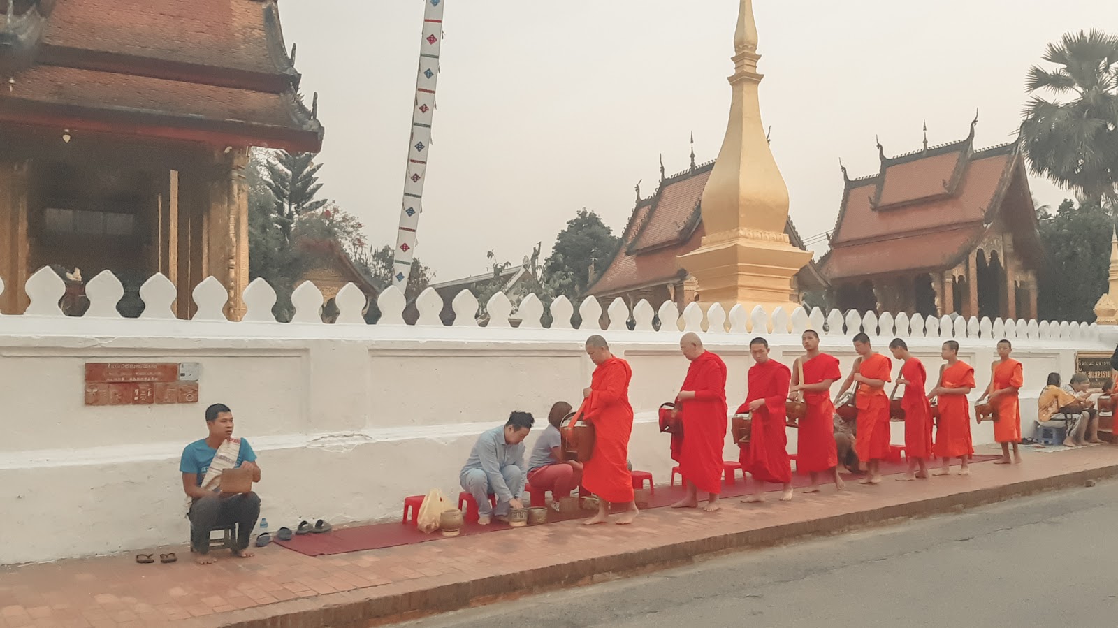 Morning Alms Giving in Luang Prabang (Sai Bat Ceremony) - Mardiah Journey