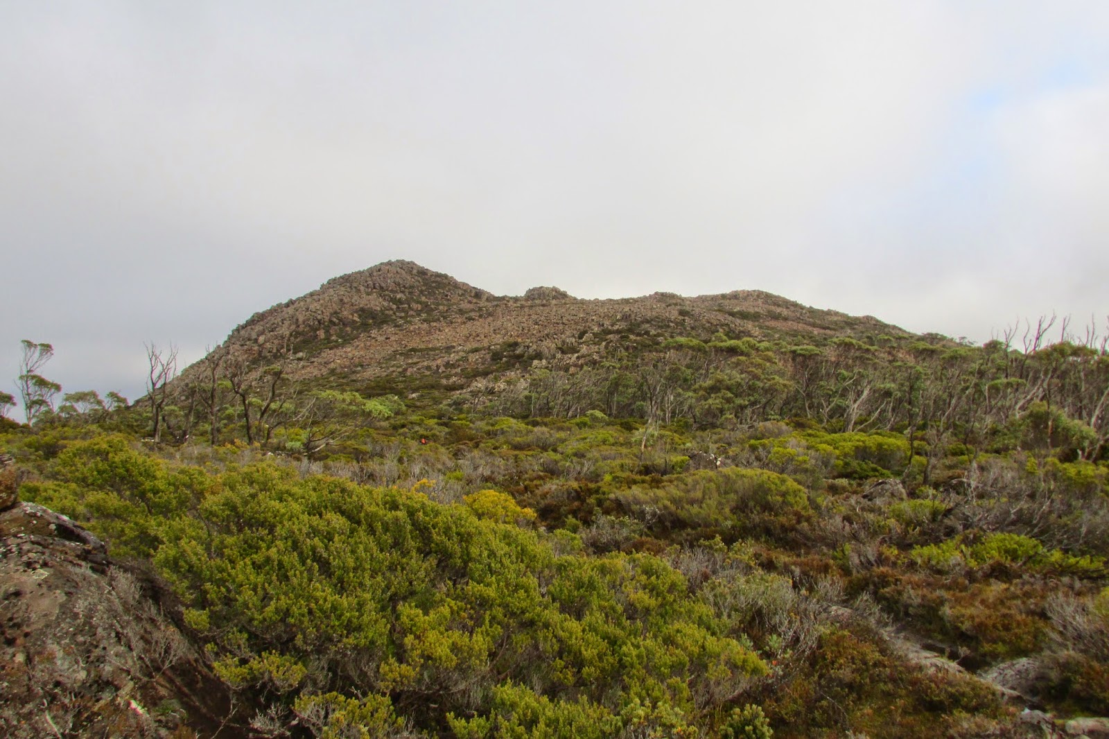 Lake Belcher | Hiking South East Tasmania