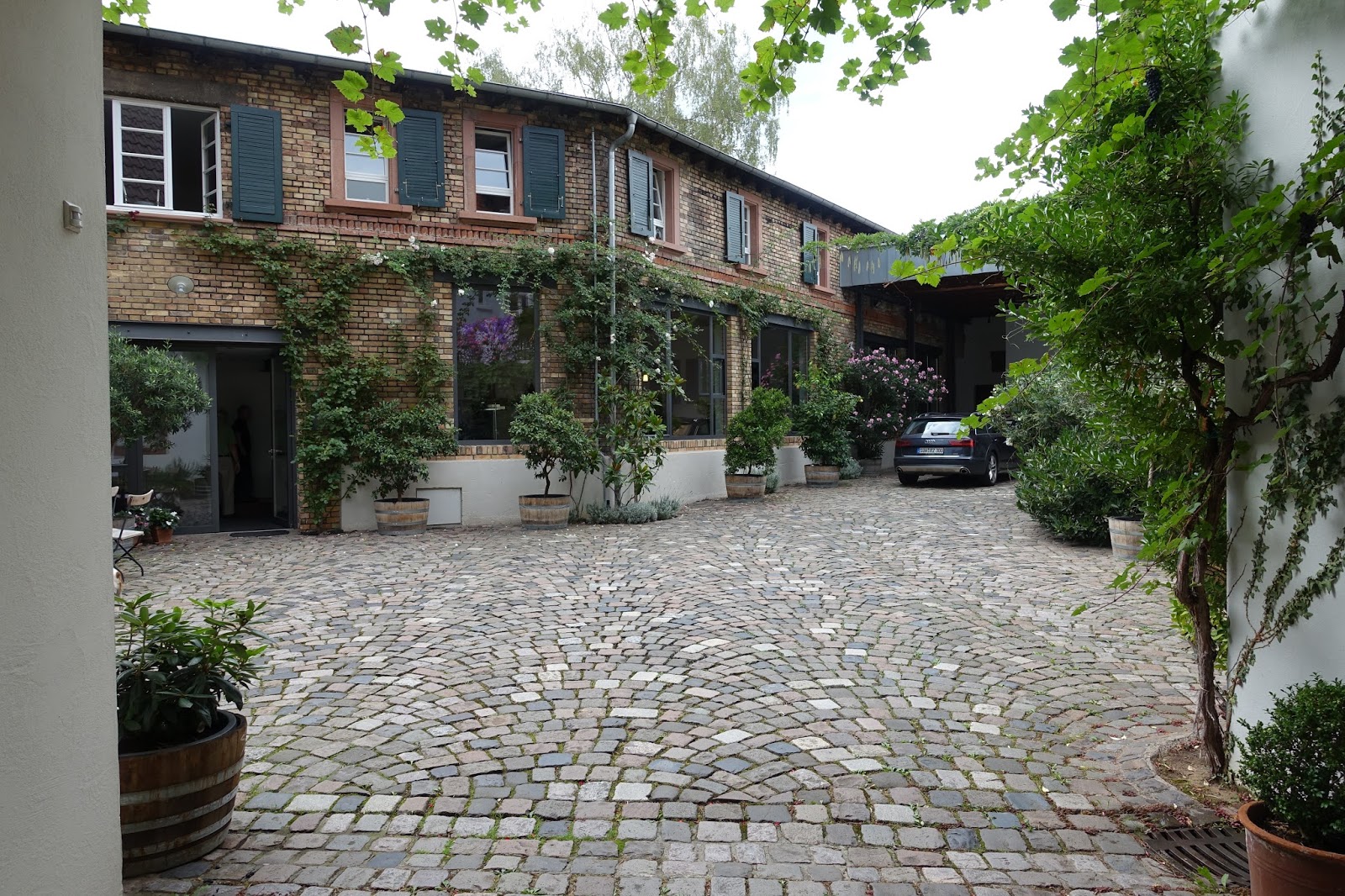 schiller-wine: Tasting at Weingut Ökonomierat Rebholz in Siebeldingen ...