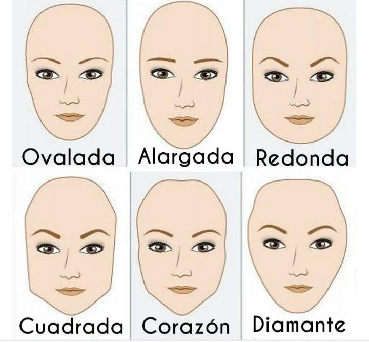 TIPOS DE ROSTRO