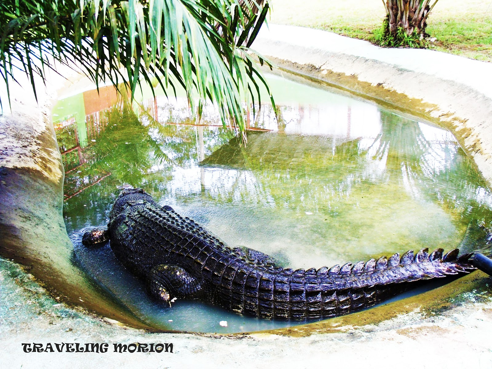 Traveling Morion | Travel + Photography: Morion's PhotoTravel Diaries ...