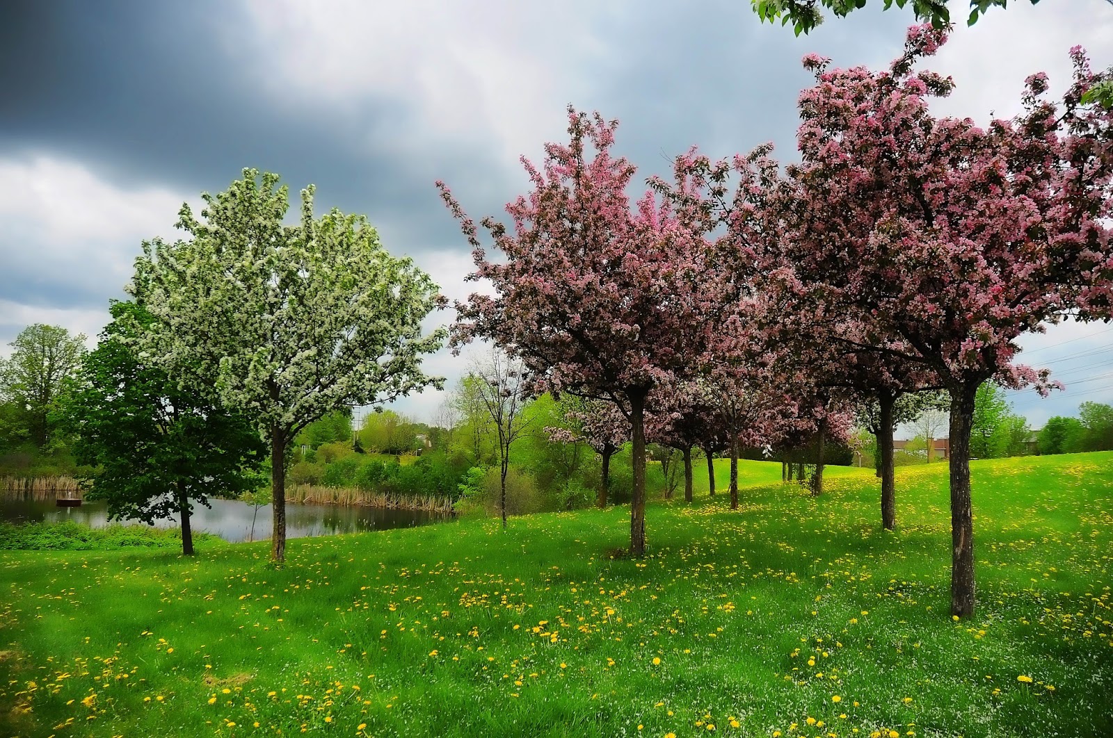 Unique Wallpaper: Imágenes de Primavera - Spring Amazing Pictures - Fondos