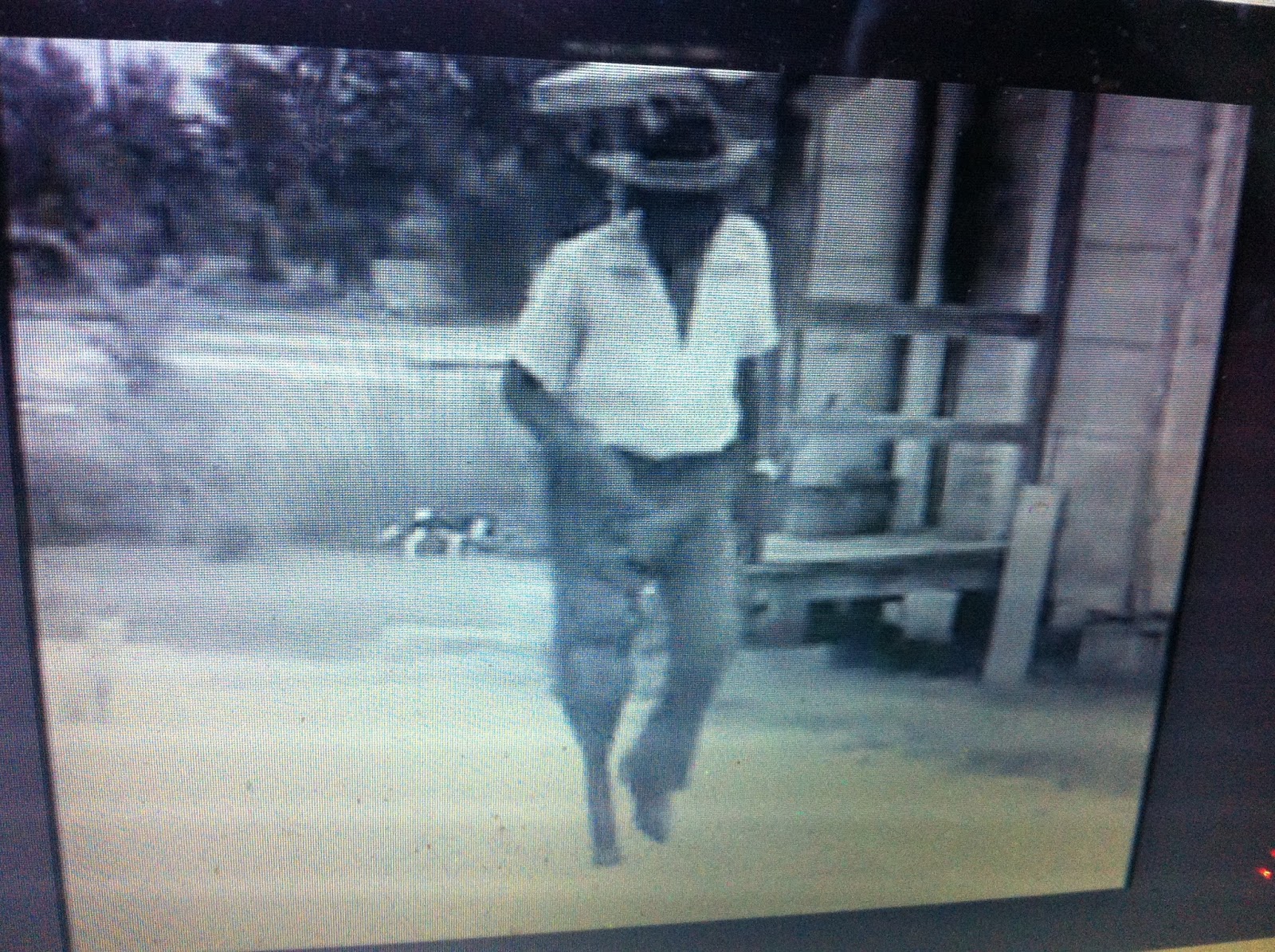 THE BLACK SOCIAL HISTORY:: BLACK SOCIAL HISTORY - AFRICAN AMERICAN ...