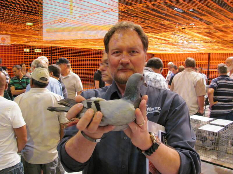 nieripigeons USA racing pigeons: USA present : Ken Easley Pigeons.