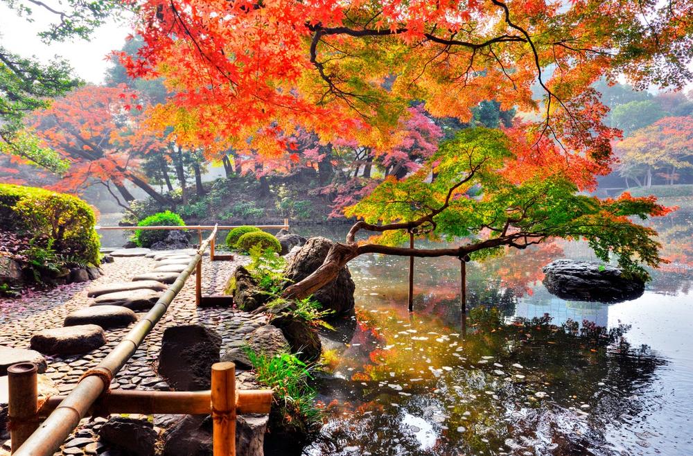 Najlepši citati o najšarenijem godišnjem dobu: Jesen je kao smešak, pun ...