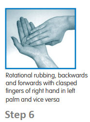 Hand Hygiene - 7 Steps of Hand Washing